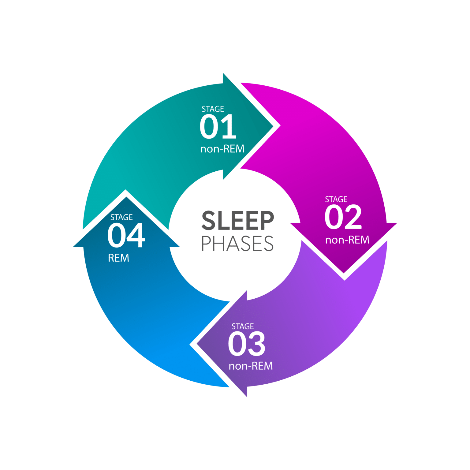 Sleep Cycles & Stages: What You Need to Know | AlignLife