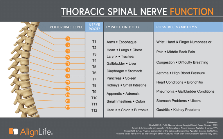 Spine to Symptoms: Connecting the Dots to Wellness | AlignLife